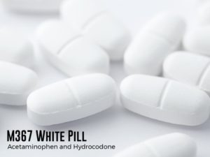 M367 White Oval Pill and M366 : Hydrocodone & Acetaminophen Tablet